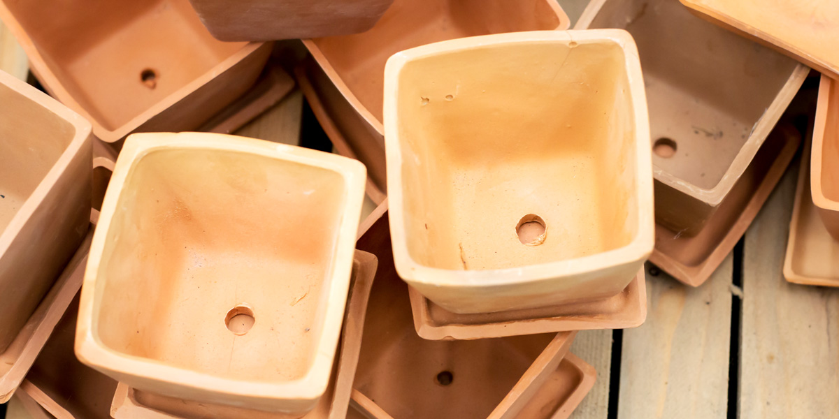 Selecting Clay Pots For Succulents: The Green Thumb's Guide